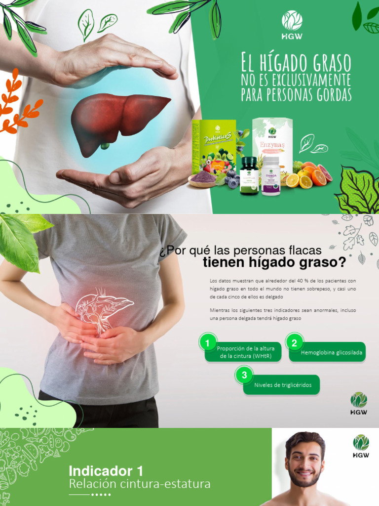 Hígado Graso: No Solo en Personas Gordas | PDF | Lípido | Ácido Graso ...