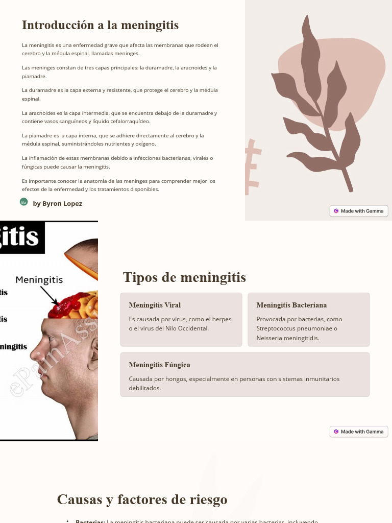 Meningitis | PDF | Meningitis | Especialidades Medicas