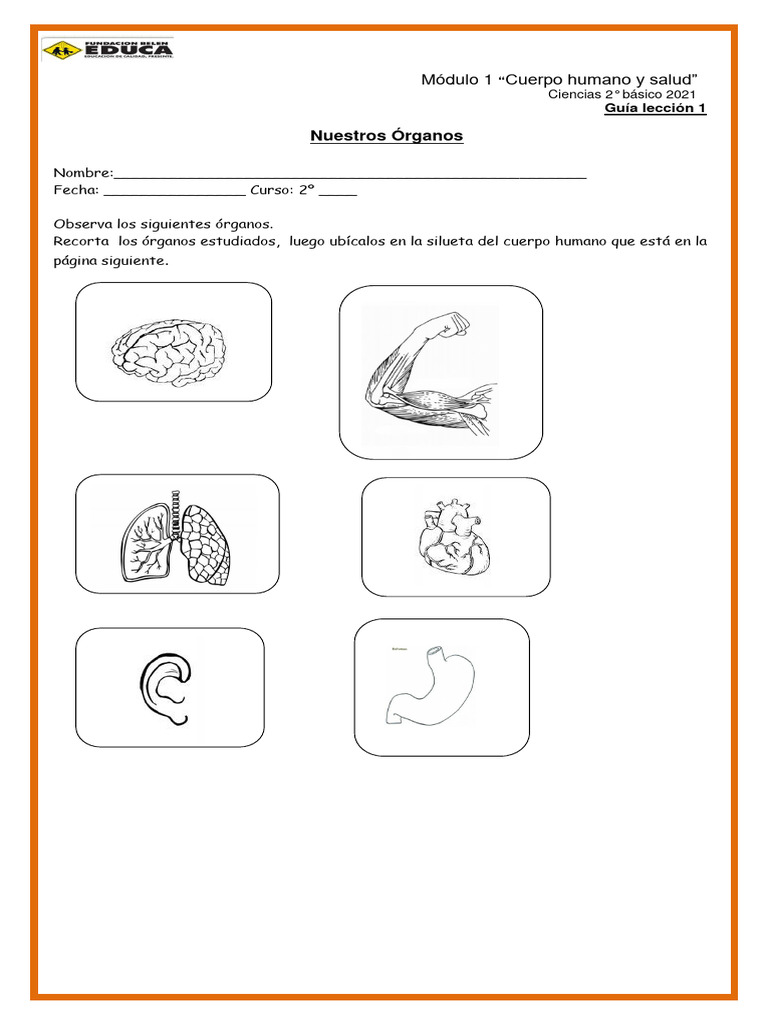 Clase 1 Practica Independiente Unidad 1 2021 | PDF
