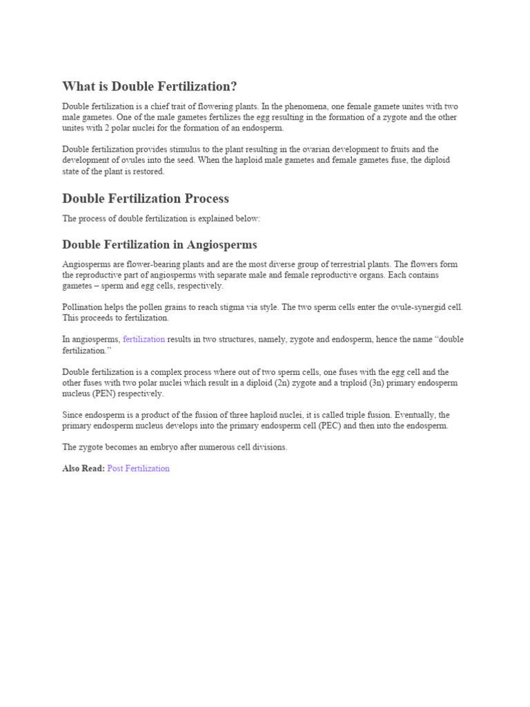 What Is Double Fertilization | PDF | Fertilisation | Plant Reproduction