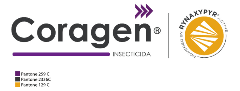 CORAGEN v02 Curvas | PDF