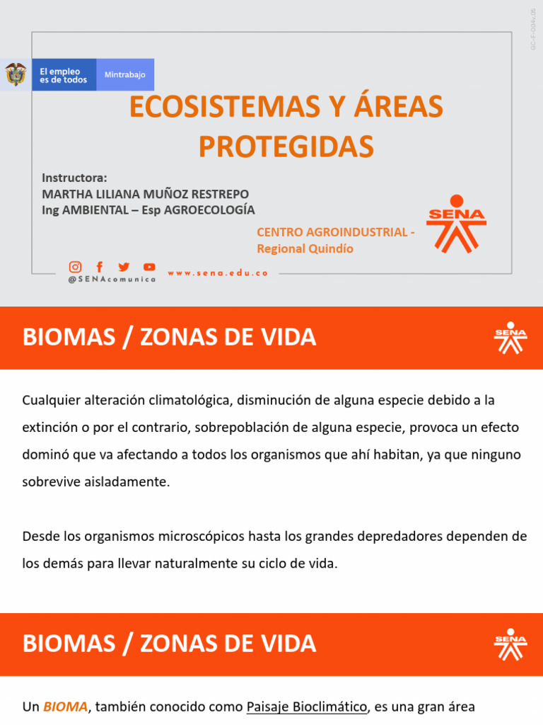 Ecosistemas y Areas de Conservación | PDF | Los bosques | Selva
