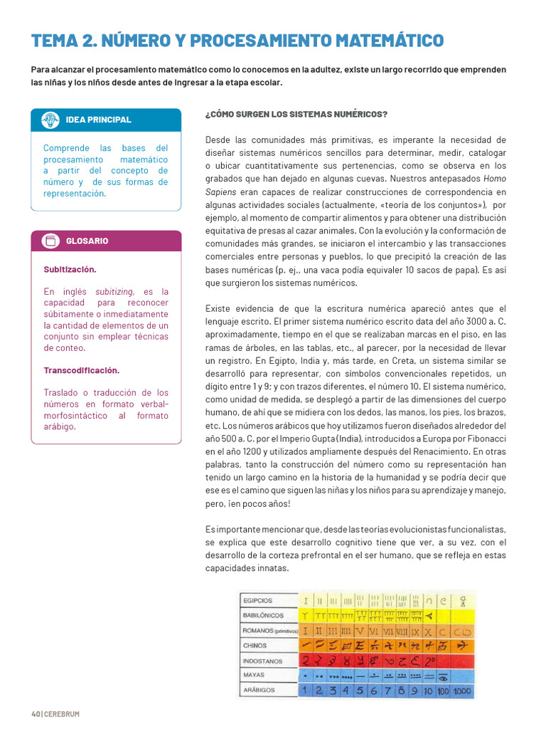 Primera Infancia - Libro 2 - Módulo 5 - TEMA 2 | PDF | Números | Cerebro