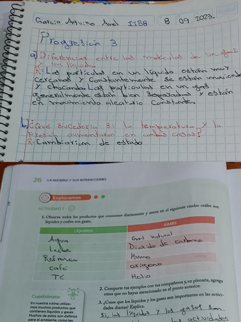 Progresión 3 (García Aquino Anel) | PDF