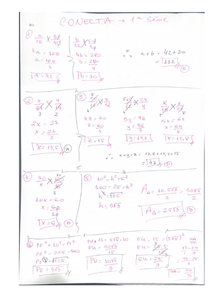 1 Serie - Gabarito Comentado Conecta | PDF