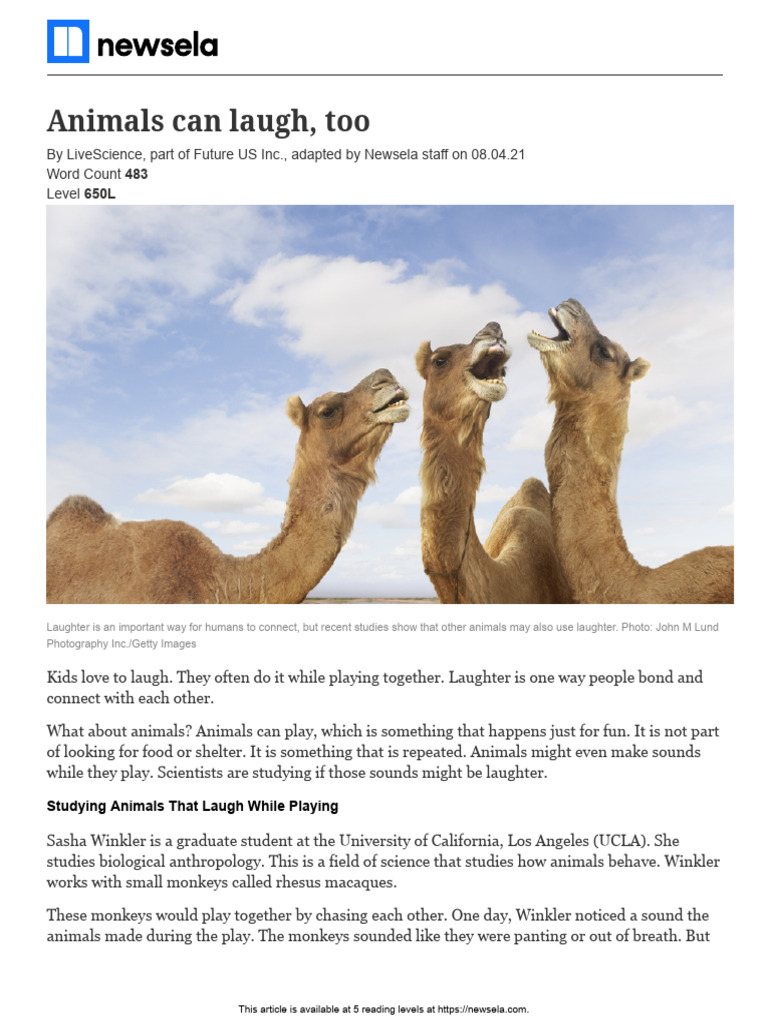03-_do-animals-laugh-2001021438-article_and_quiz_(1) | PDF | Laughter ...