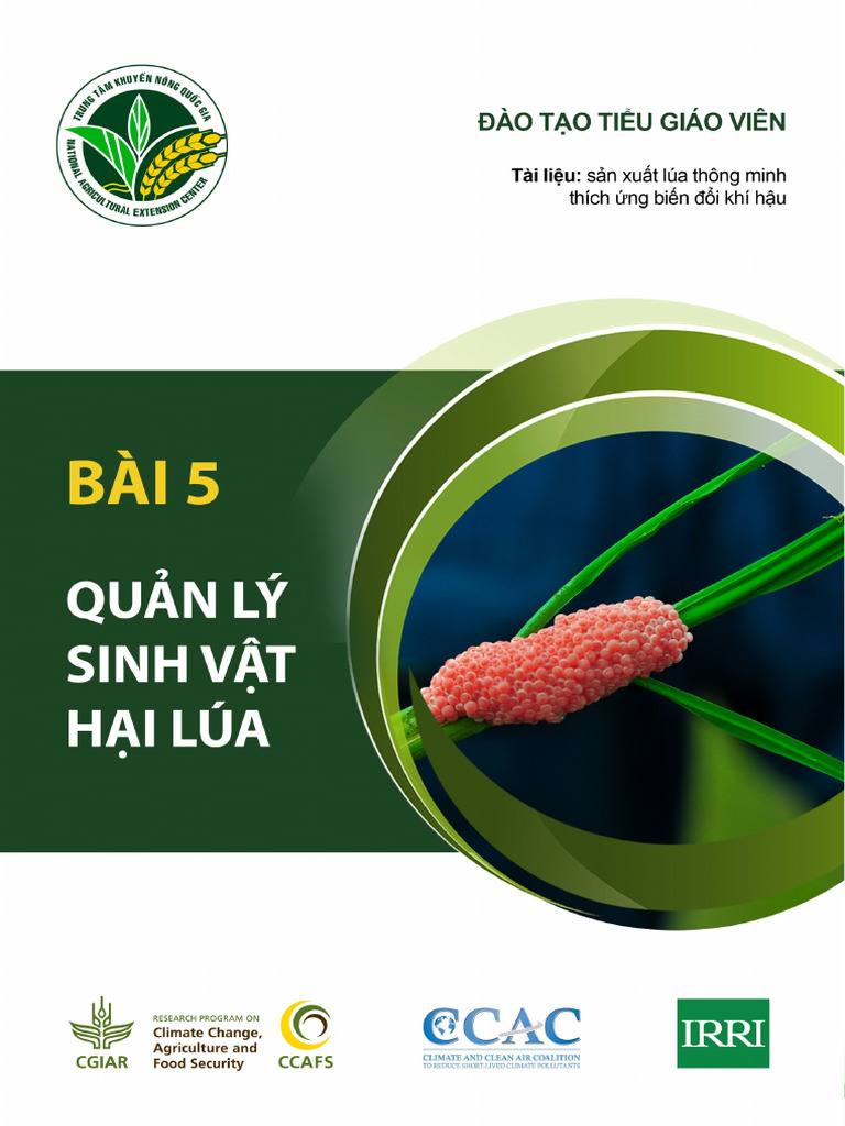 Bai 5 Quan Ly Sinh Vat Hai Lua | PDF