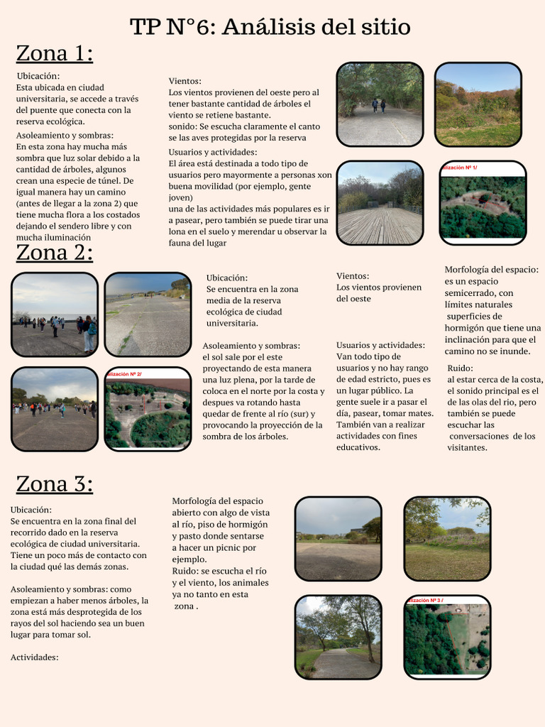 TP N 6 An Lisis Del Sitio | PDF