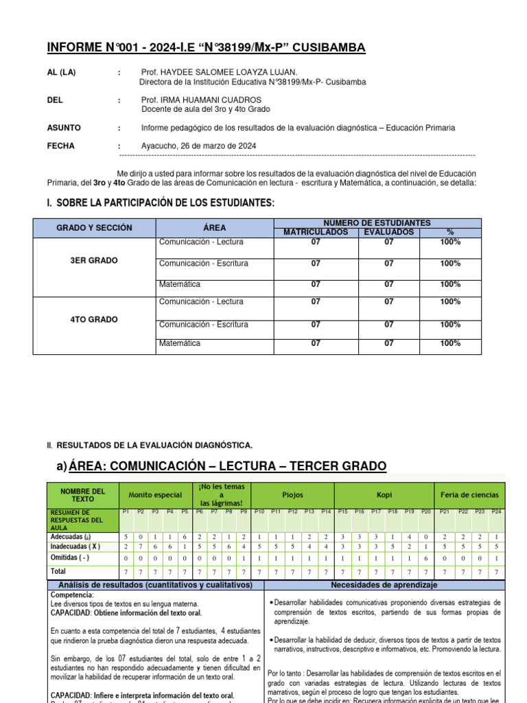 Informe Del Docente-Evaluación Diagnóstica 2024 | PDF | Aprendizaje | Evaluación