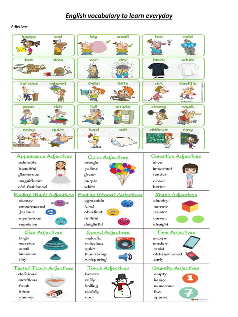 English Vocabulary to Learn Everyday | PDF