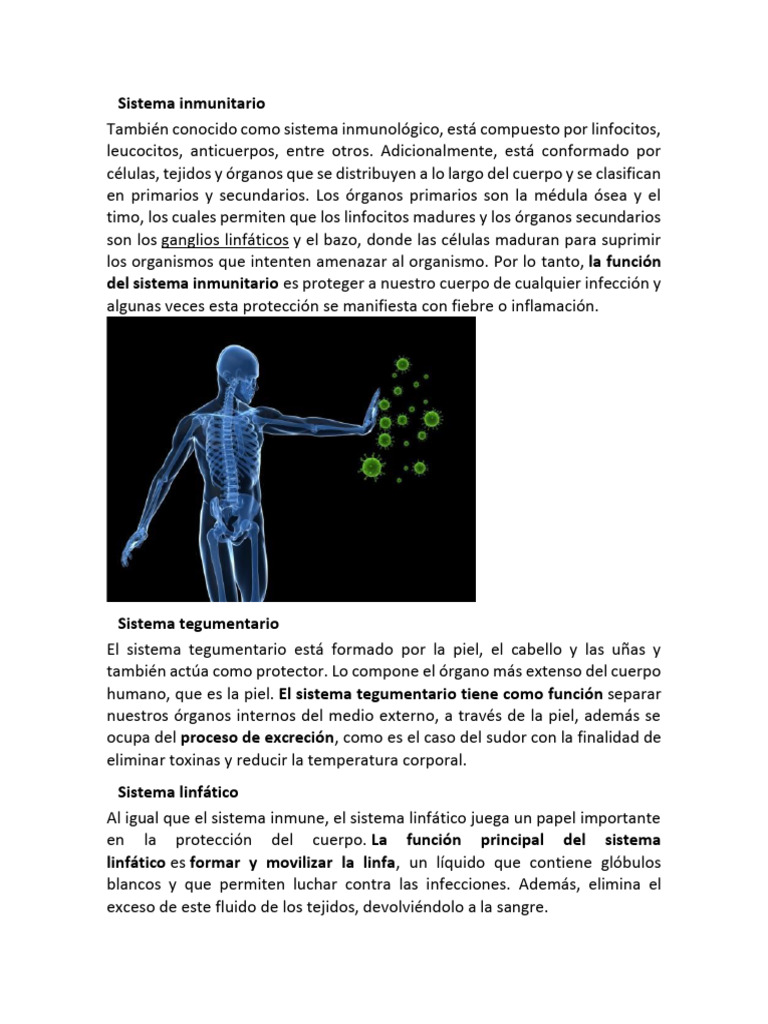 Sistemas Del Cuerpo Pdf Sistema Linfático Sistema Inmune