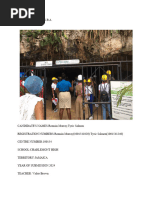 Sample History SBA | PDF