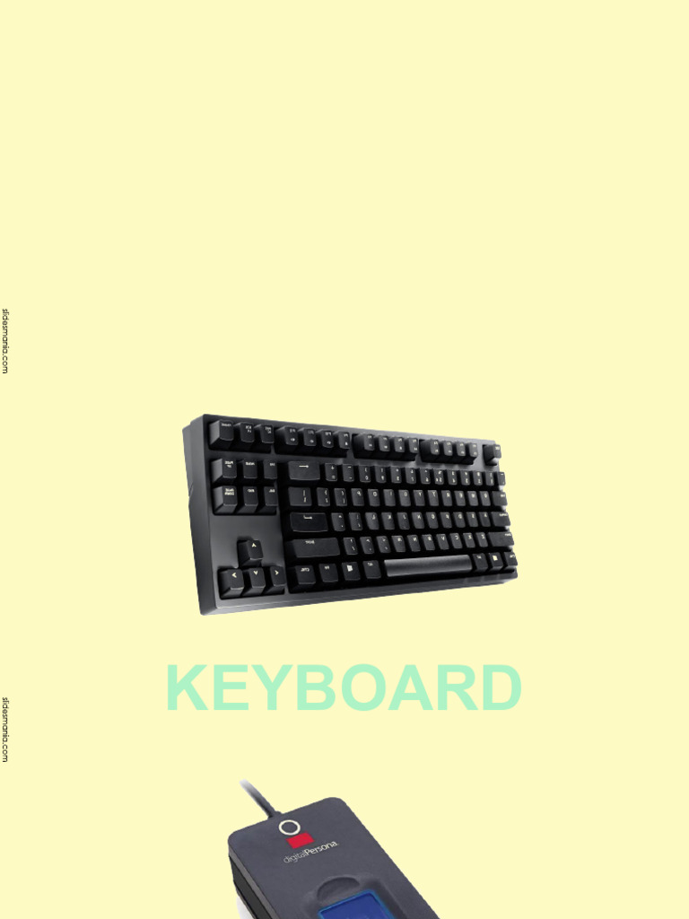 Input and Output Devices | PDF | Computer Keyboard | Computer Monitor