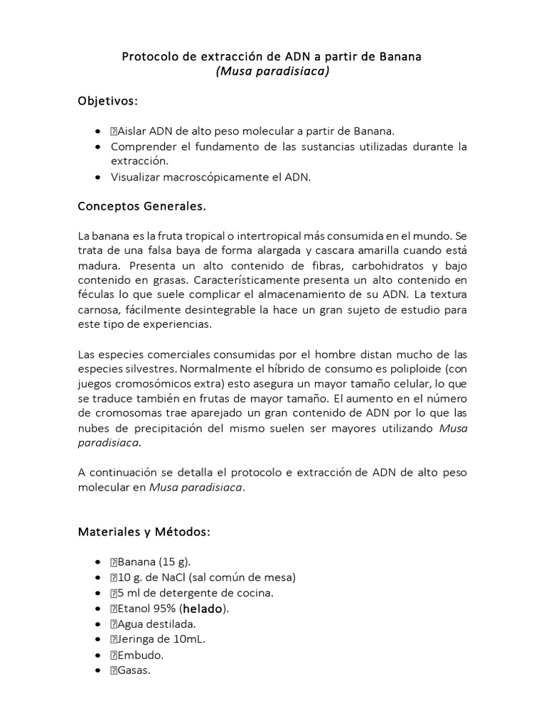Extracción de ADN de Banana: Protocolo Detallado | PDF | Plátano | Adn
