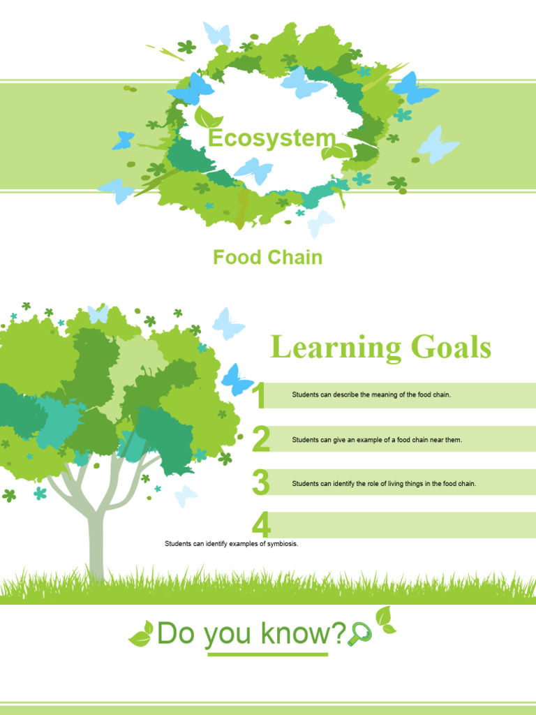Food Chain & Symbiosis | PDF | Symbiosis | Foods