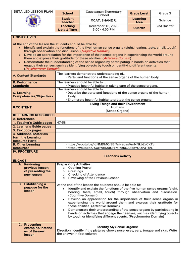 DLP Template Shane | Download Free PDF | Senses | Taste