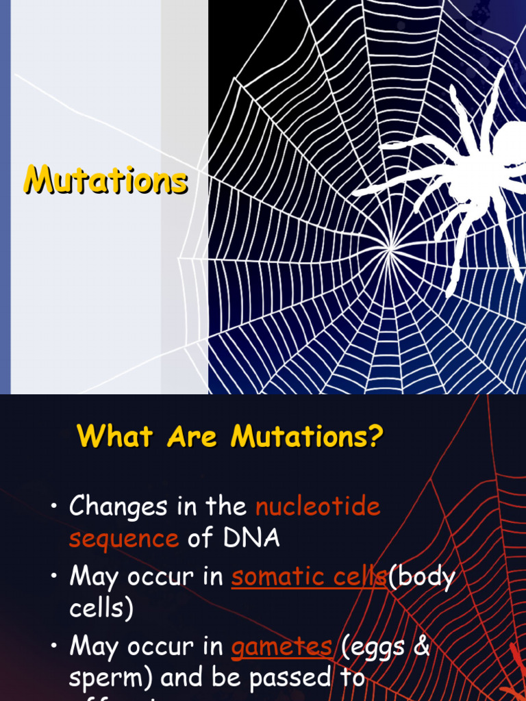 Lesson 5 Mutations | PDF | Point Mutation | Mutation
