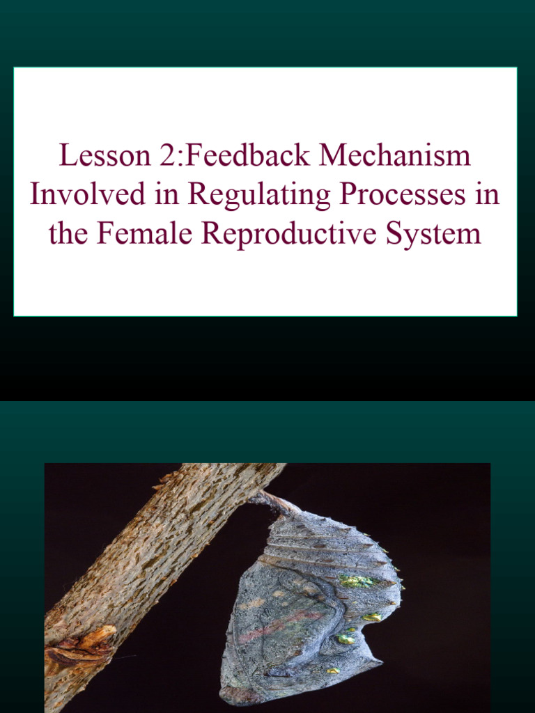 Feedback Mechanism in Female RS | PDF | Menstrual Cycle | Mammal Female ...
