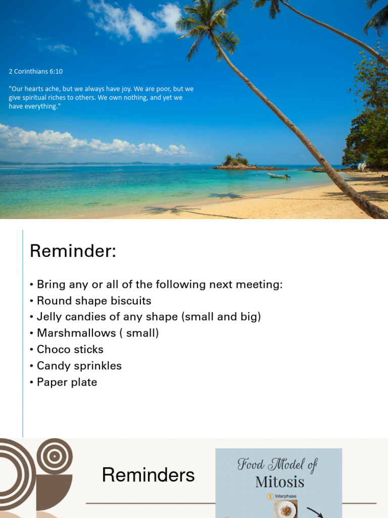 Cell Cycle | PDF | Mitosis | Chromosome