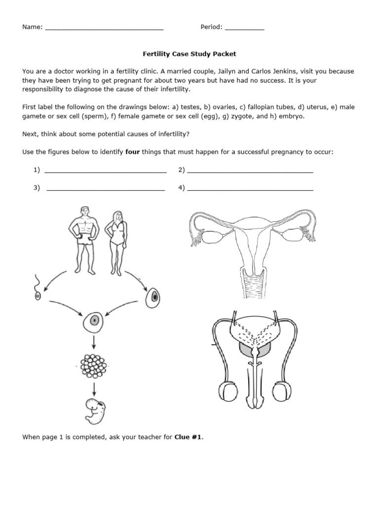 case study | PDF | Infertility | Fertility