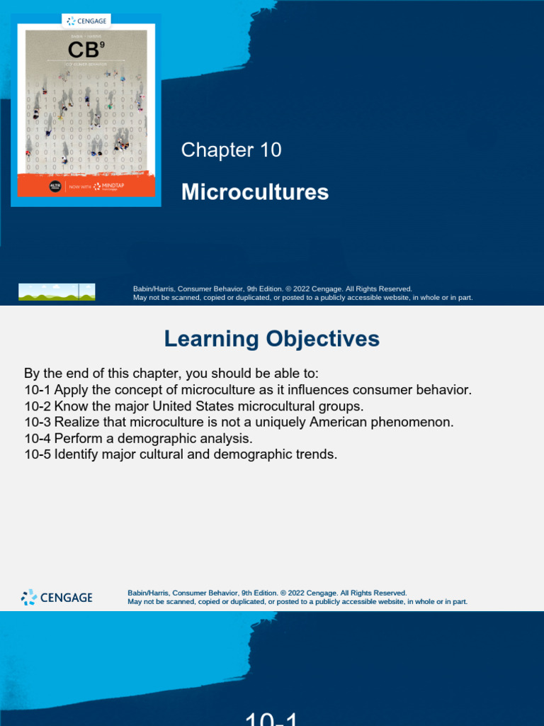 Micro Cultures | PDF | Consumer Behaviour | Market Segmentation