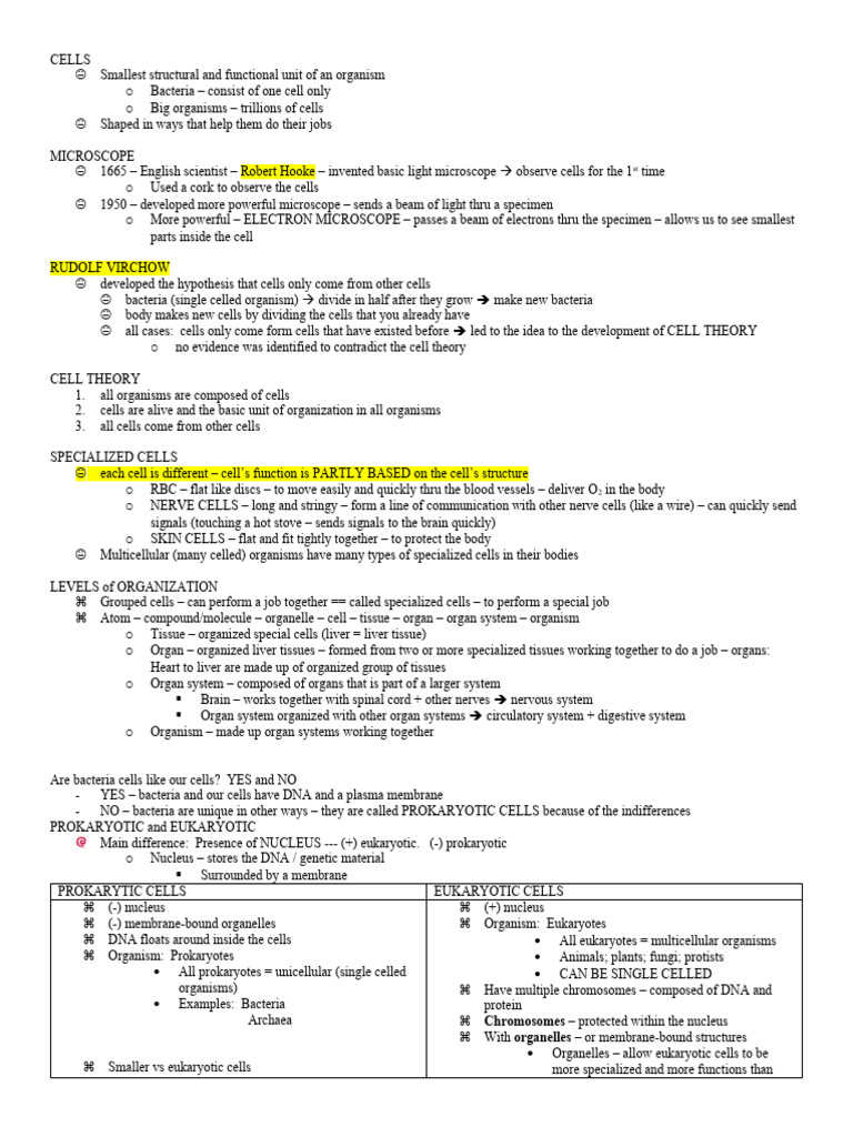 Sci 2.1 CELLS | Download Free PDF | Cell (Biology) | Endoplasmic Reticulum