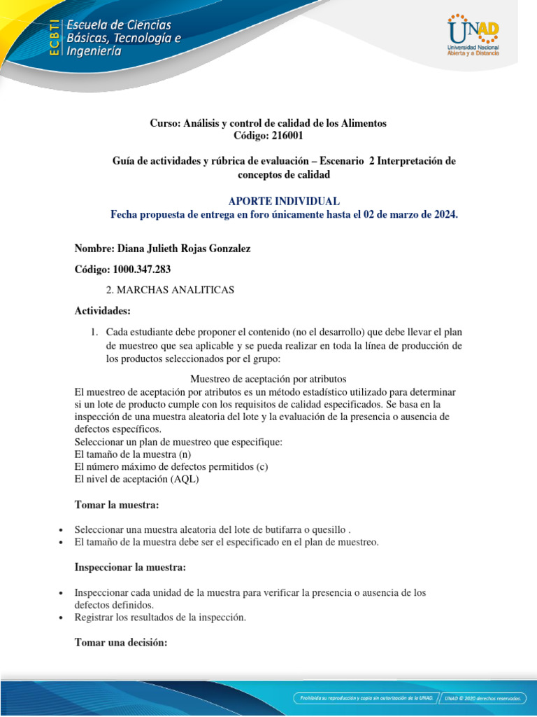 Formato - T - Individual - E2 - Curso216001 - Diana Rojas | PDF ...