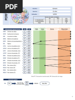 Ejemplo de Valoración de Prolexia | PDF | Dislexia | Cognición