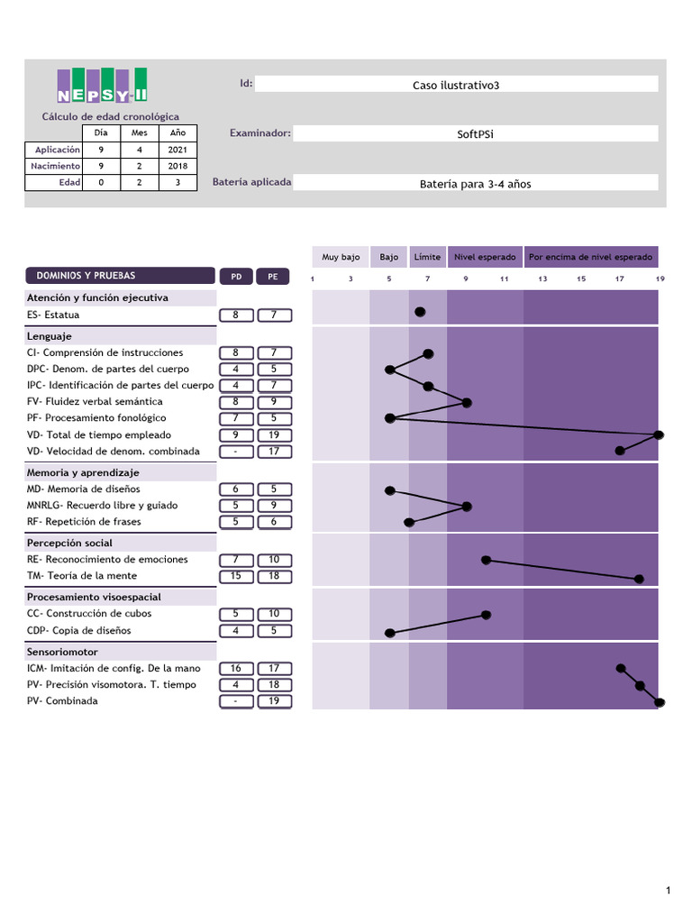 Informe NEPSY-II: Resultados y Análisis | PDF | Memoria | Conceptos ...