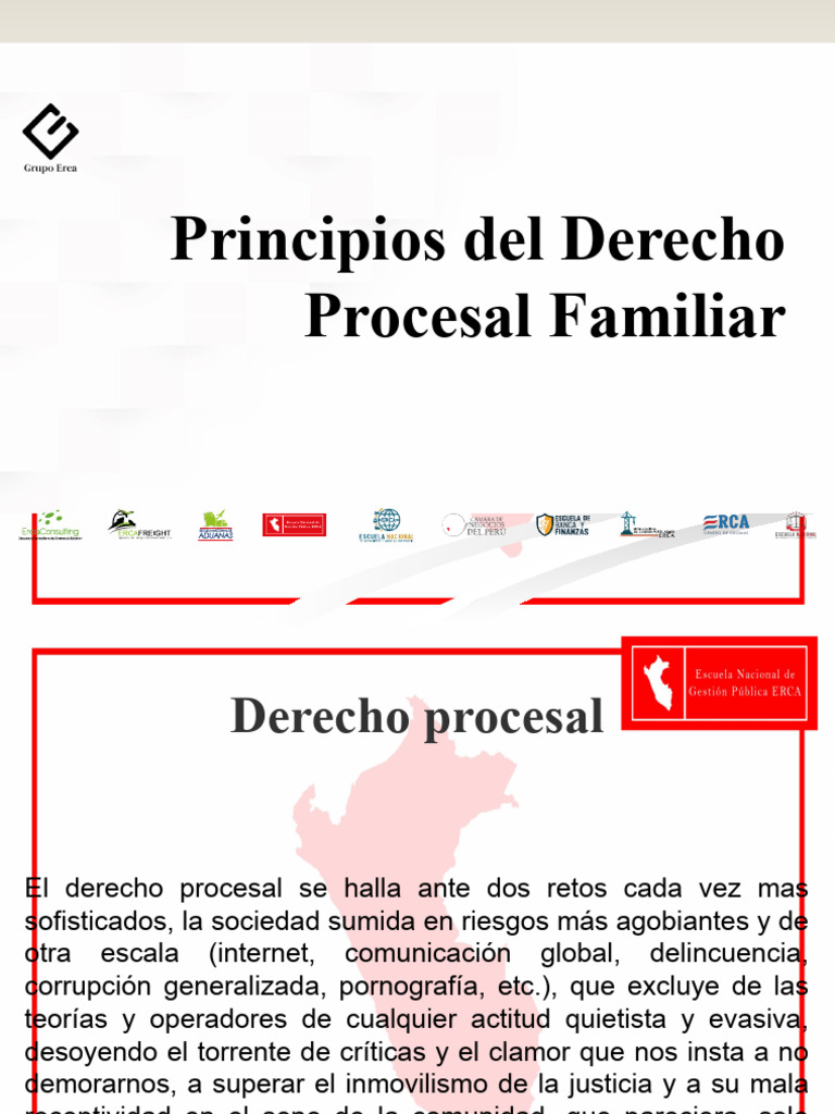 Sesion 2 Principios Del Derecho Procesal Familiar | Descargar gratis PDF | Convenio europeo de ...
