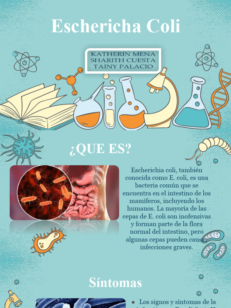 Science Education Center by Slidesgo | PDF | Escherichia coli | Alimentos