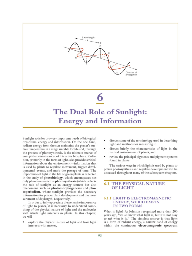 Dual Role of Sunlight Plant Physiology by Hopkins 4E | PDF ...