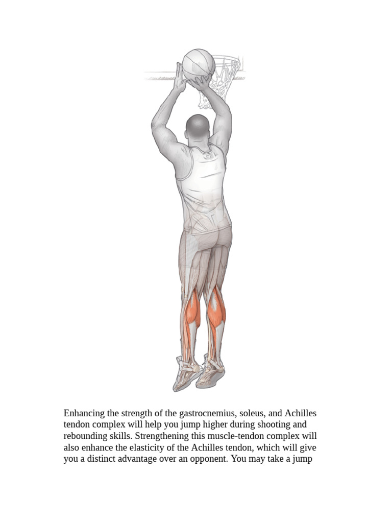 Basketball Anatomy Brian Cole Rob Panariello Z Library 49 | PDF