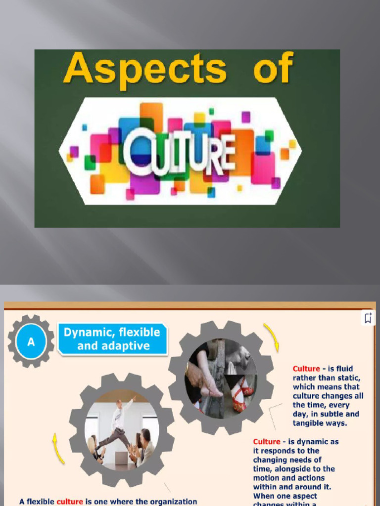 Aspects of Culture | PDF
