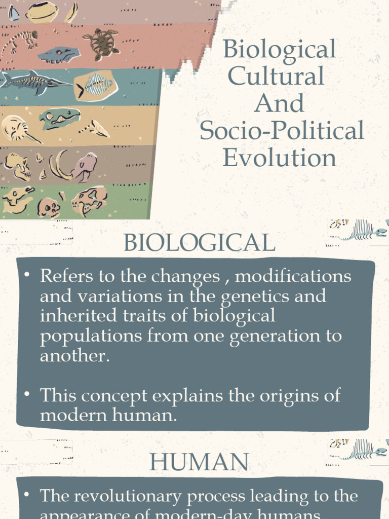 Biological Cultural And Socio Logical Evolution Pdf Homo Human