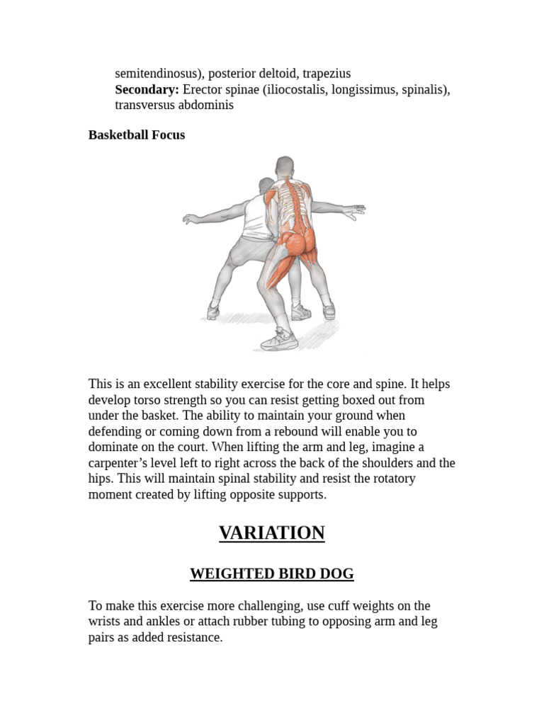 Basketball Anatomy - Brian Cole - Rob Panariello - Z Library - 66 | PDF