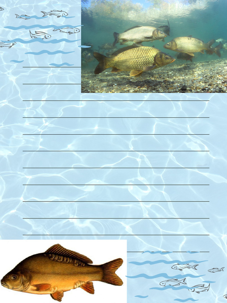 Blue Modern Letter Paper With Lines A4 Document | PDF