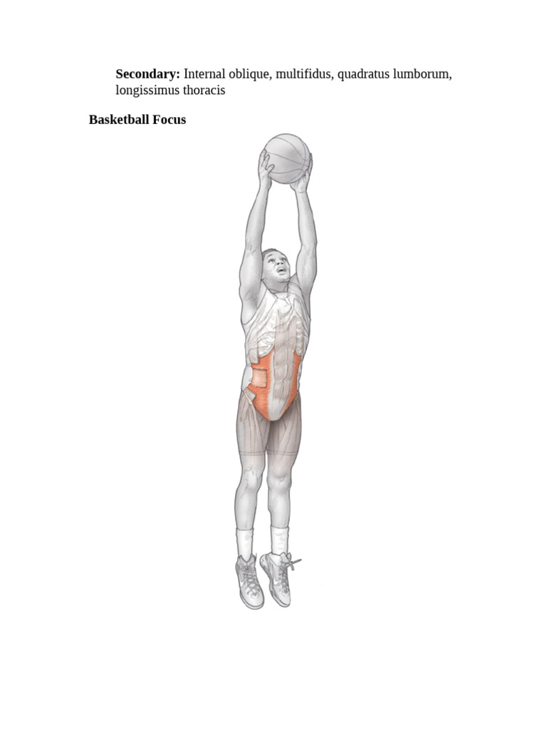 Basketball Anatomy - Brian Cole - Rob Panariello - Z Library - 73 | PDF