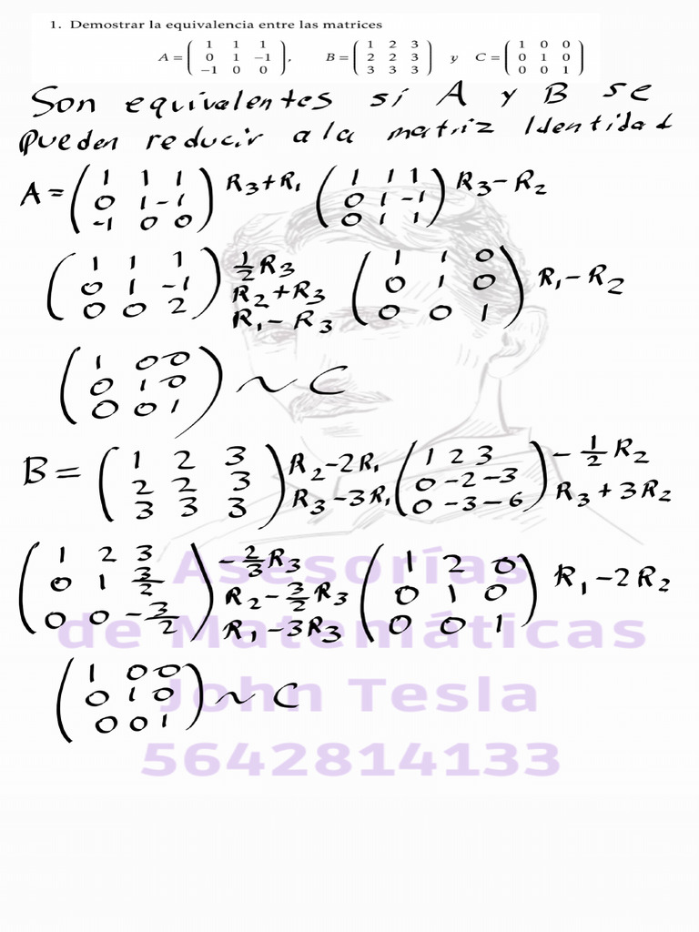 Problemario Álgebra | PDF