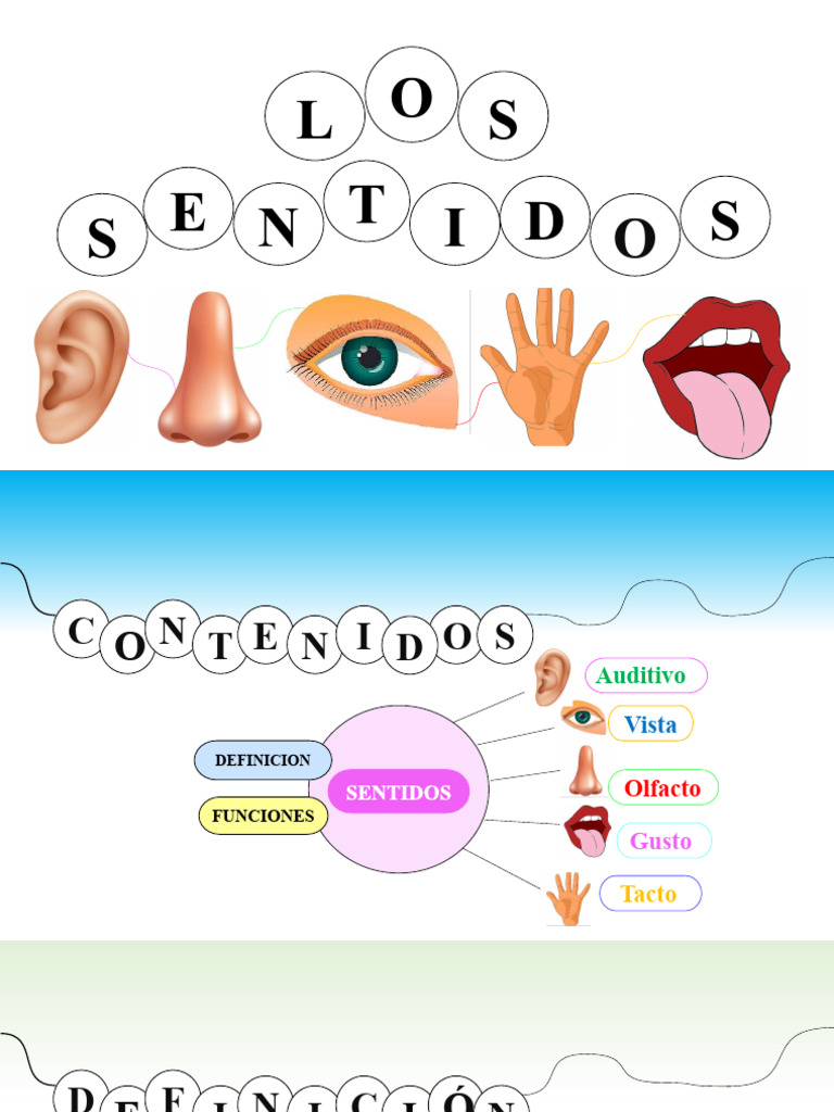 LOS SENTIDOS - Expo Final | Descargar gratis PDF | Gusto | Oído