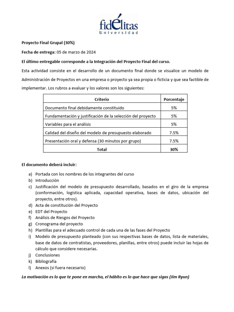Proyecto Final Grupal | PDF