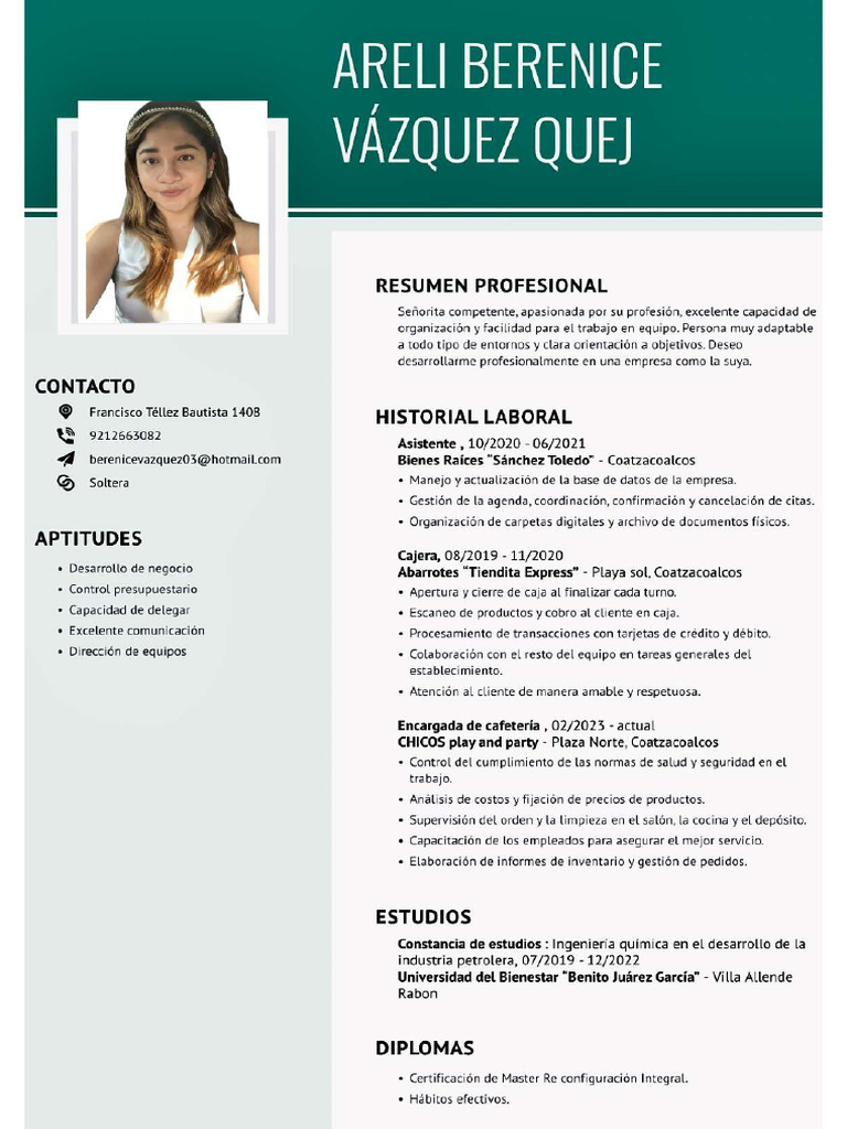 Curriculum Actualizado | PDF