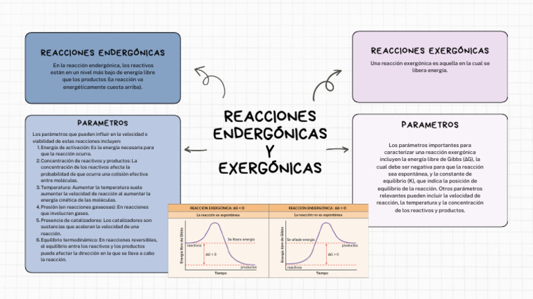 Mapa Mental Reacciones Endergónicas y Exergónicas | Descargar gratis ...
