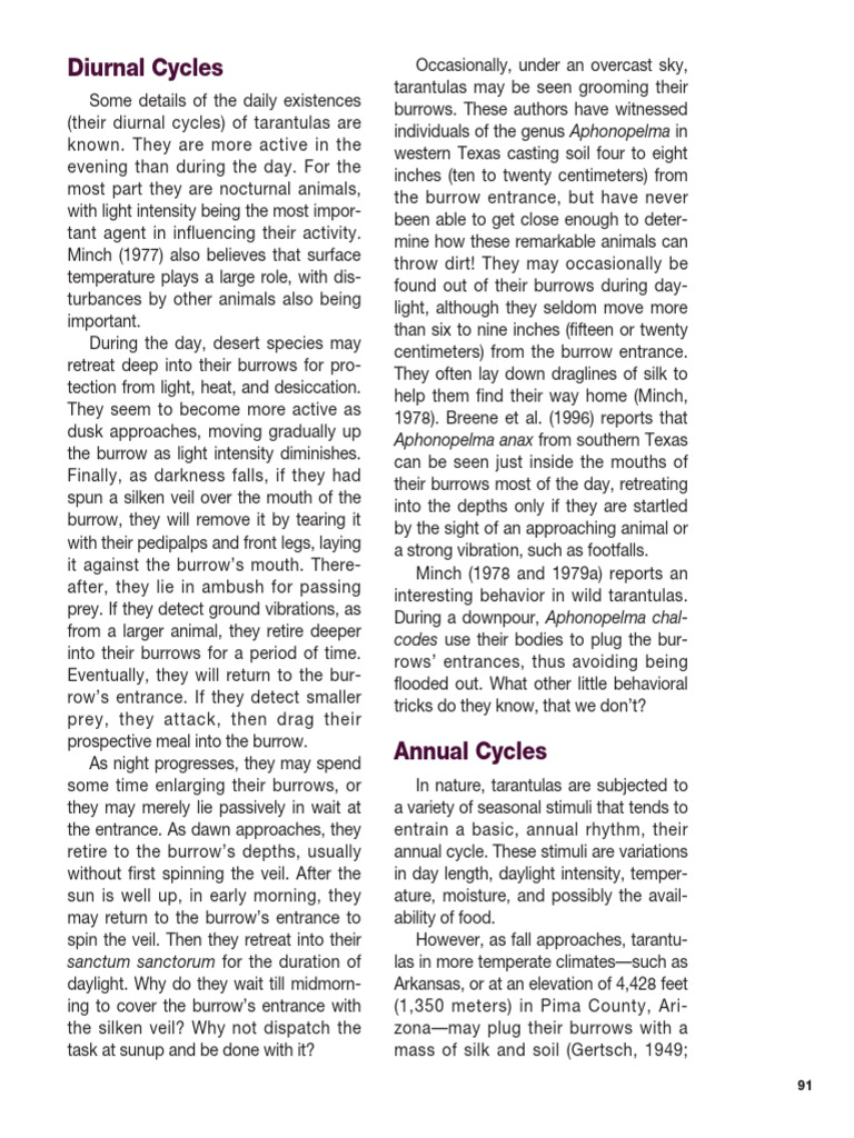 The Tarantula Keepers Guide Revised Edition (Schultz, Marguerite J ...