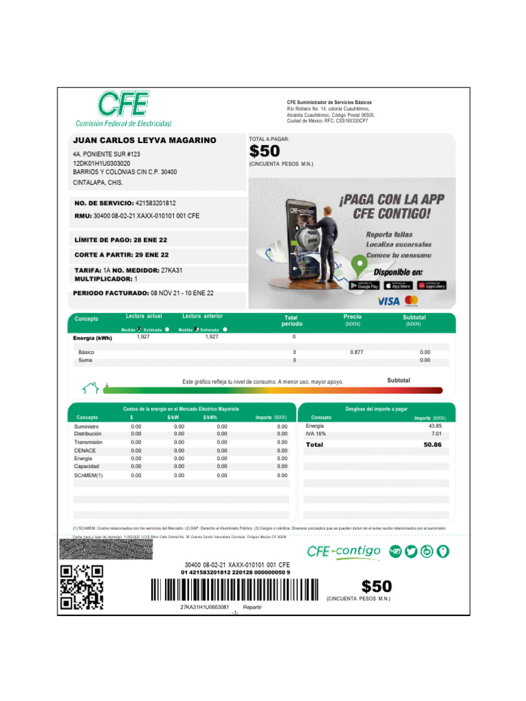 Cfe Leyva | PDF | Naturaleza | Ingenieria Eléctrica