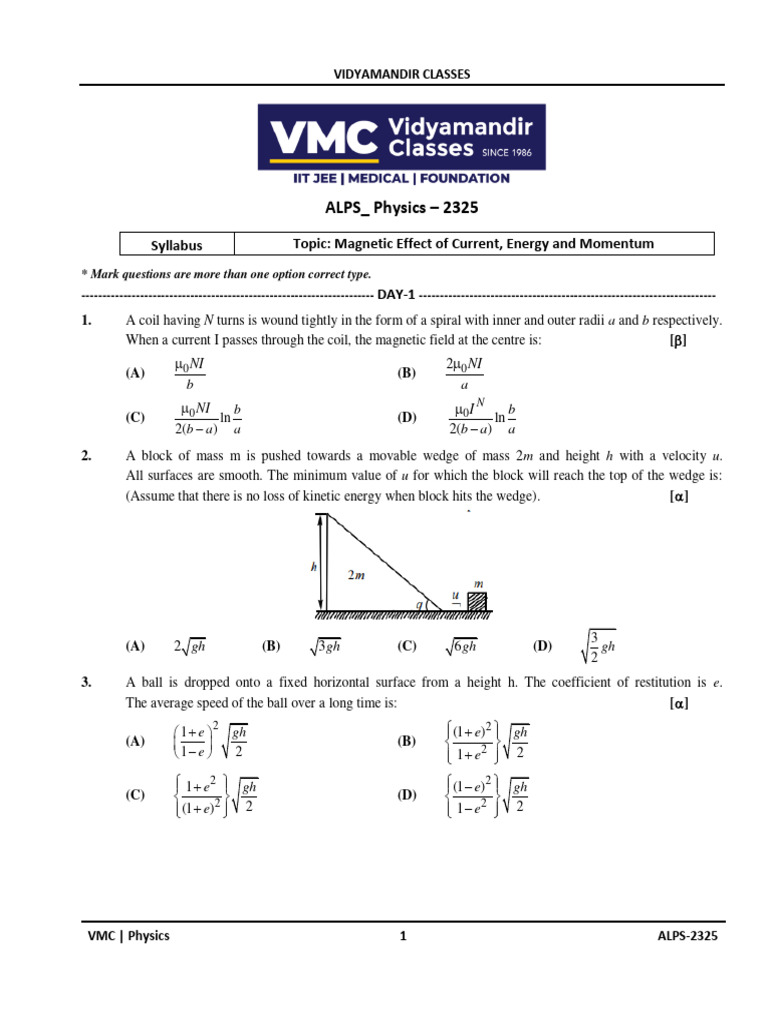 ALPS 2325 Physics Assignment Paper | PDF | Momentum | Magnetic Field