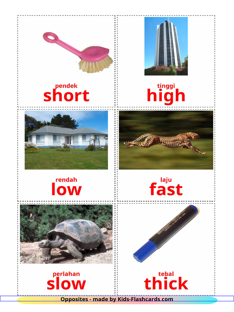 Free Printable Opposites Flashcards | PDF | Sports & Recreation | Games ...