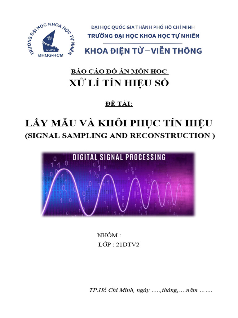 Pre Project DSP | PDF