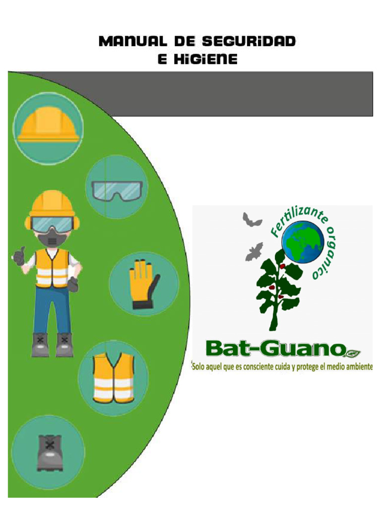 Manual de Higiene y Seguridad Industrial Proeco-batguano | PDF | Business | Valores