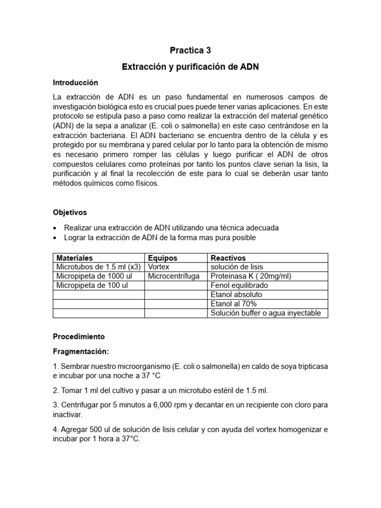 Protocolo para Extracción de ADN de E. Coli | PDF | Adn | Etanol